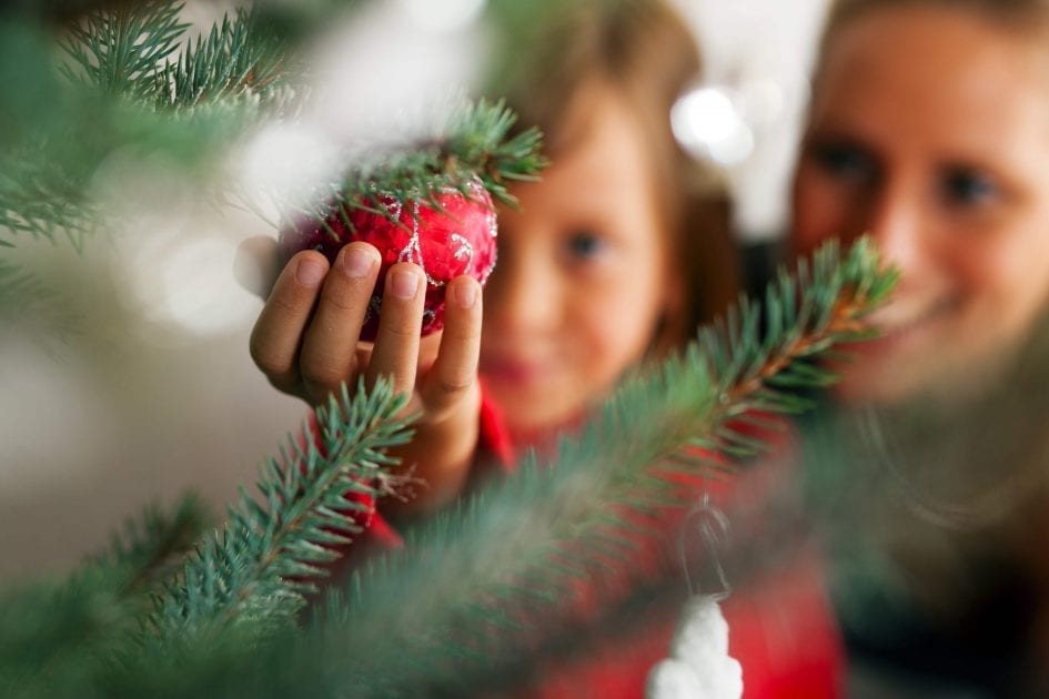 The Season Of Gratitude: Three Essentials For Building Appreciation and ...